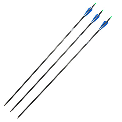 Safari Choice Archery 33" Carbon Hunting Arrows, 3pc pack | eBay