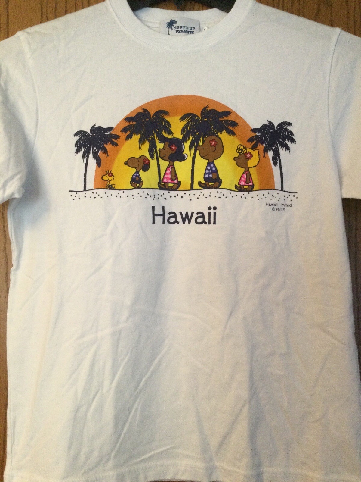 Peanuts Characters - “Hawaii” - Charlie Brown, Snoopy… - Gem