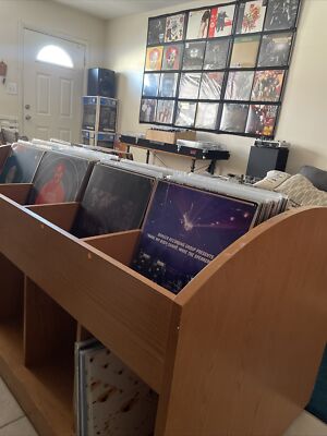 Vintage Record Store Vinyl LP Record display Bin Holds 1360 - 1400 ...
