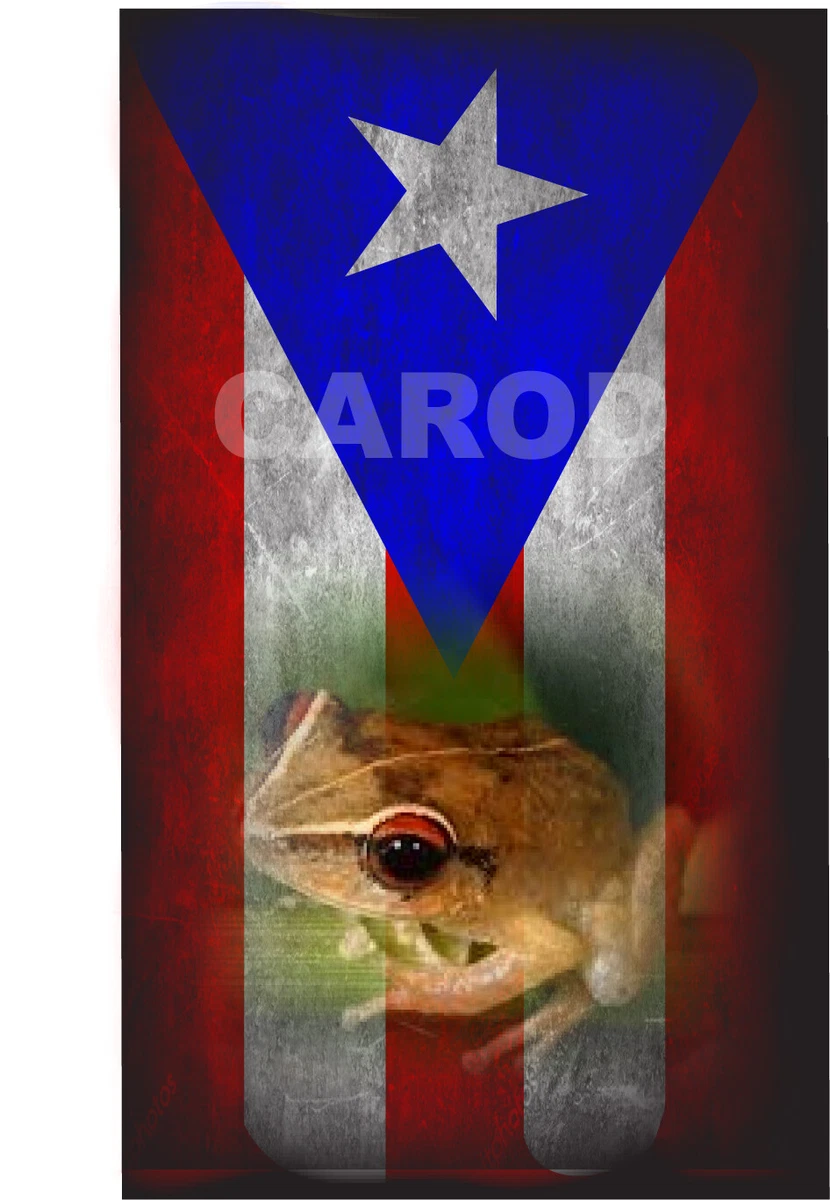 Puerto Rico Flag With Coqui