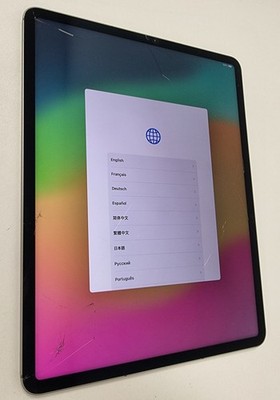 DAMAGED - Apple iPad Pro 12.9-inch (6th Gen) Wifi + Cell‎ - 256GB ...