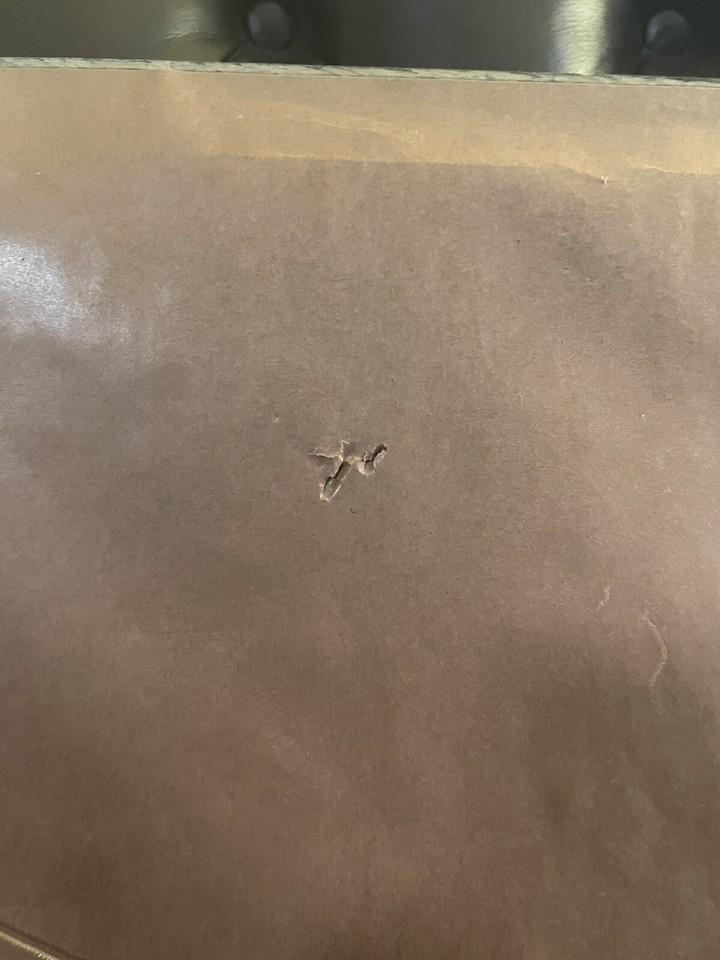 Phil Scholer 1983 Federal Duck Stamp Print Gold Medallion W Double ...