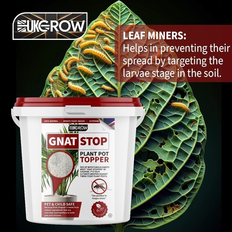 Gnat Stop Bucket 1 Litre Gnat Control for Plants - Plant Pot Topper 1L ...