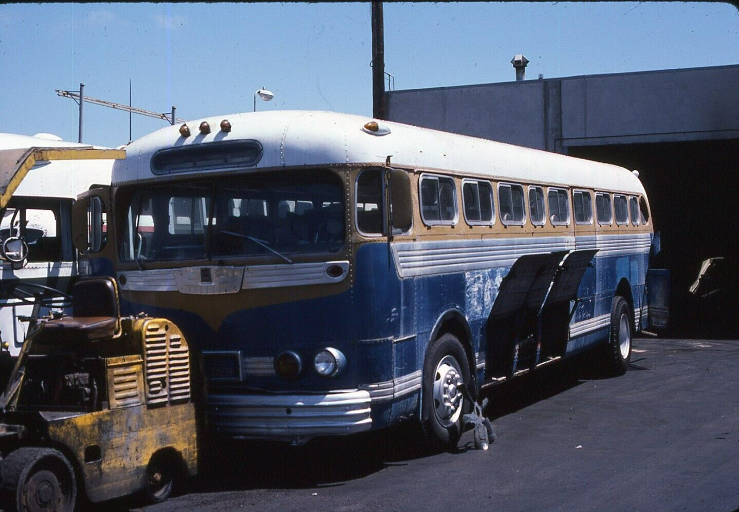 Original Bus Slide Vintage White Blue Bus San Francisco CA 1986 #29 | eBay