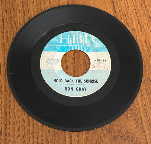 Ron Gray - Hold Back the Sunrise / the Shake 45 Record 1966 Hanna ...