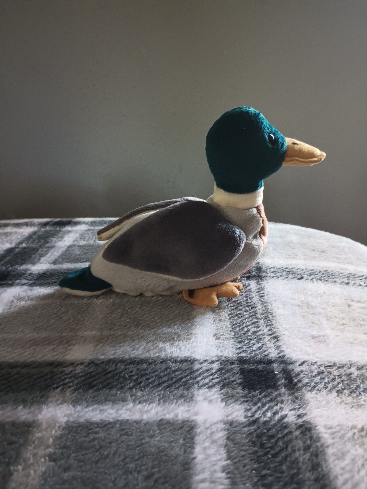 Retired Rare Ty Jake the Mallard Duck Beanie Baby Plush Toy ...