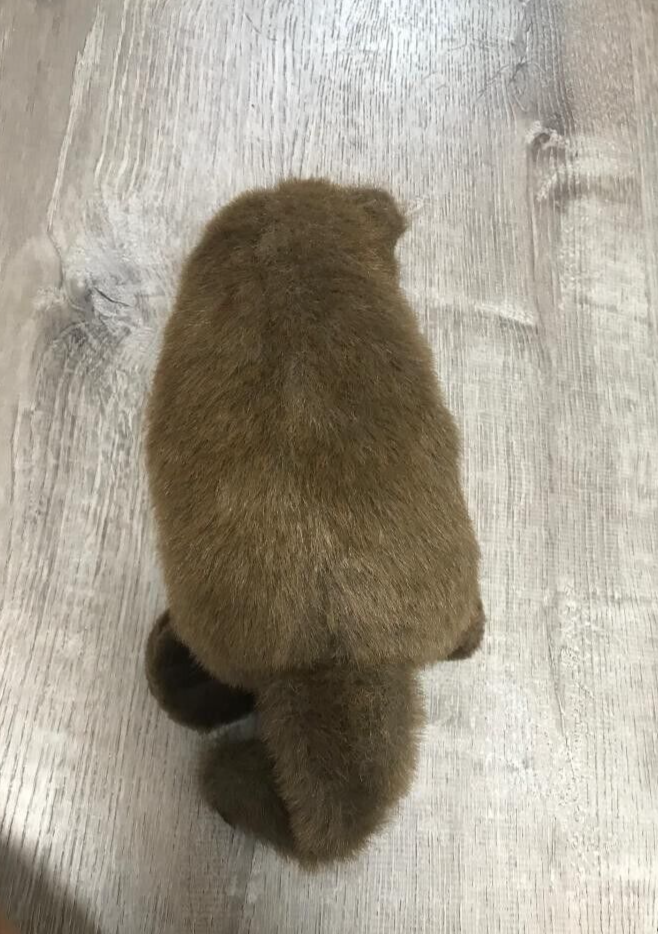 Ganz The Heritage Collection Plush Sea Otter Skipper Starfish Realistic ...