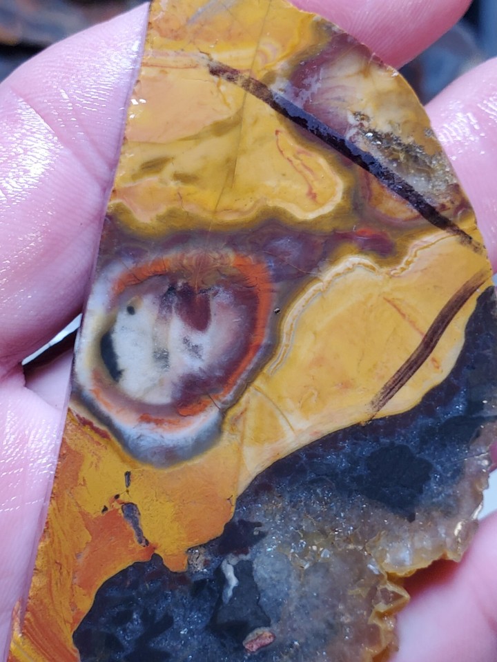 4 Wonderstone Banded Bullseye Tube Jasper Rough 204g Agate Nevada ...