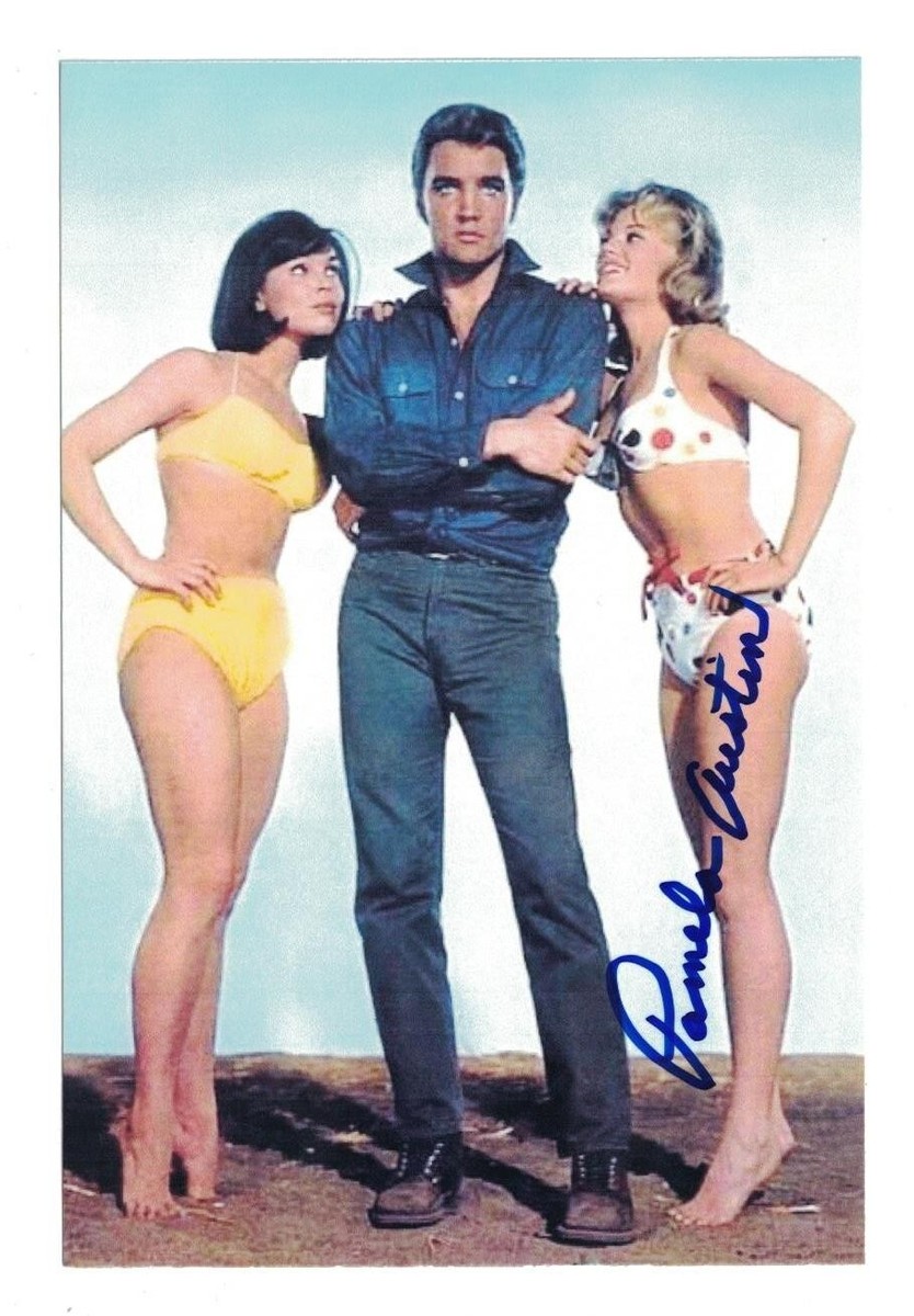 Pamela Austin Pamela Austin Pamela Austin Pamela Austin