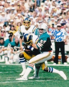 STEVE TOWLE MIAMI DOLPHINS ACTION SIGNED 8X10 | eBay