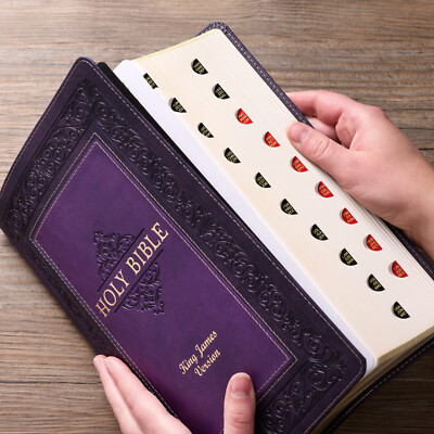 KJV Study Bible Large Print Thumb Indexed 2 Ribbons BRAND NEW in Shrink ...