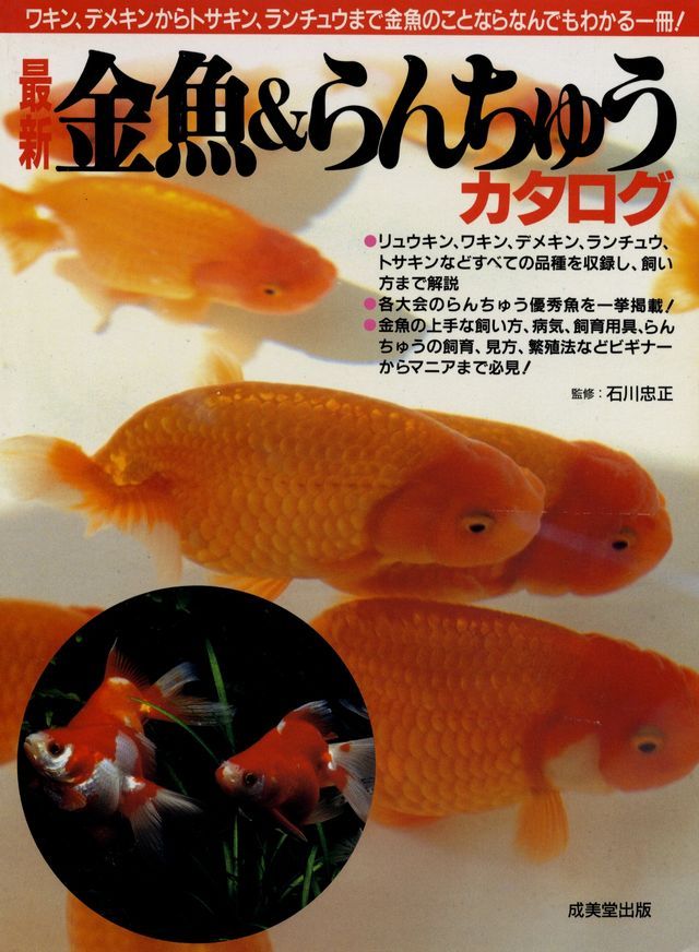 Japanese Goldfish Kingyo & Ranchu catalog book 1996 Jikin Nankin ...
