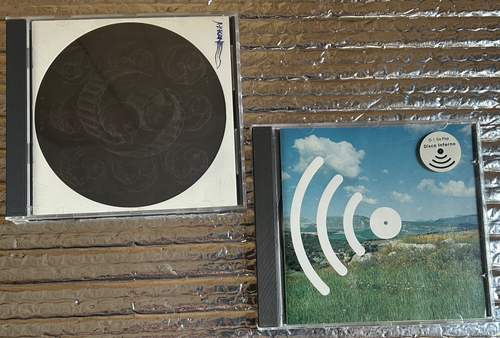 A.R. Kane + Disco Inferno: 69/DI Go Pop. 2 x Rough Trade CD | eBay ...