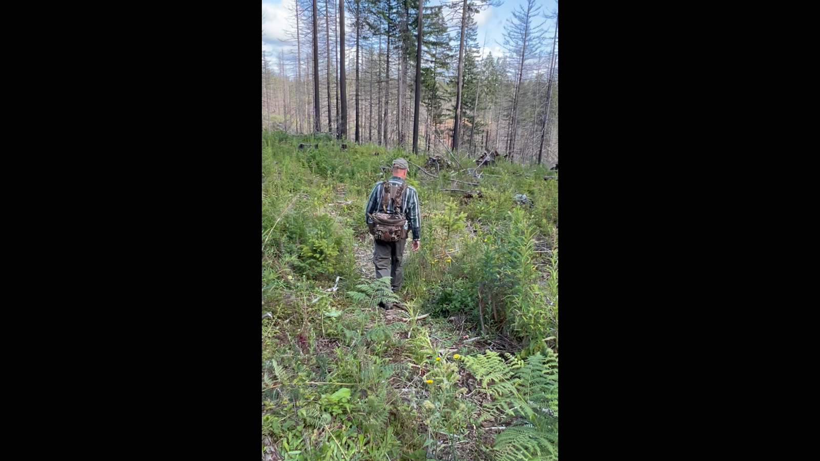 SoRite Defense Cleanse | Pepper Spray Decon Wipes (Freeze +P, POM, Mace ...