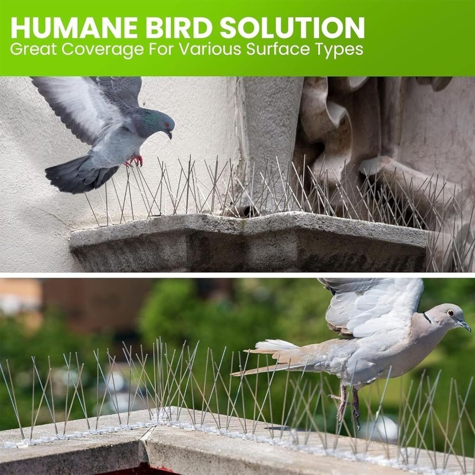 10M&5M Pigeon Bird Spikes Metal Wall Fence Deterrent Anti Perch Control ...