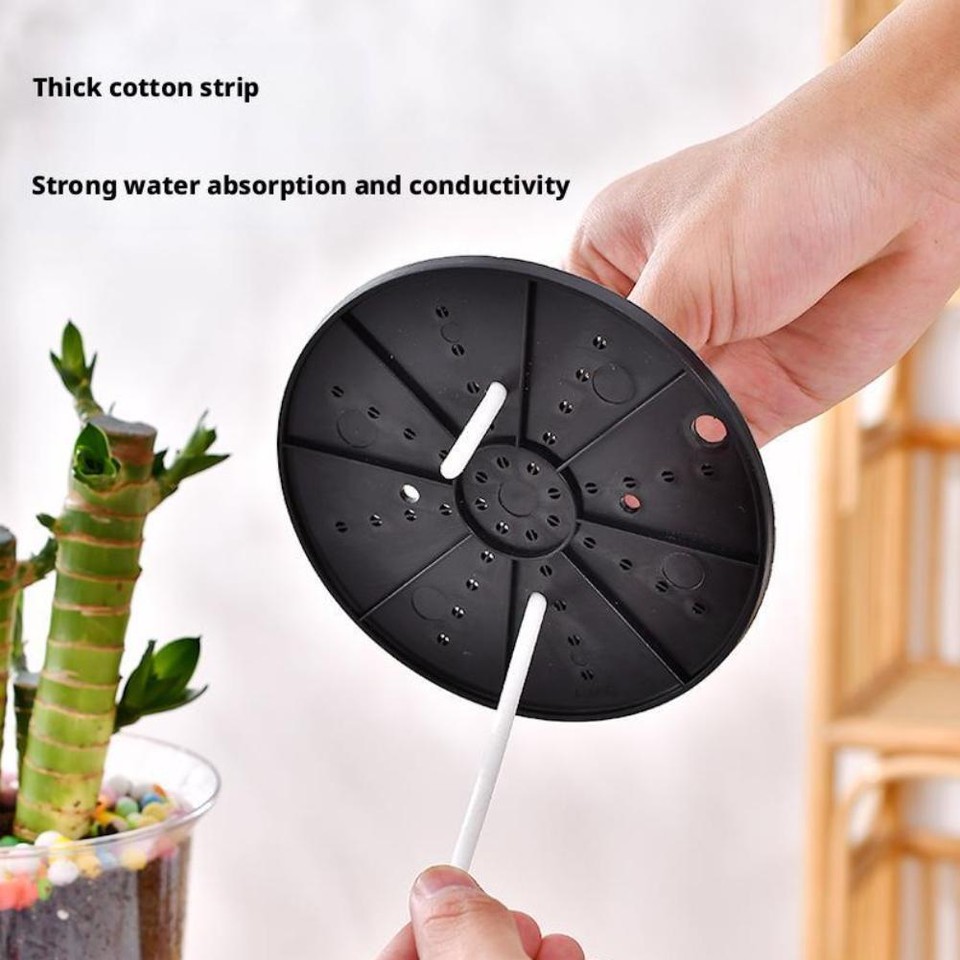 !Self Watering Plant Flower Pot with Water Level Indicator Office ...