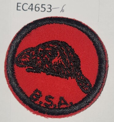 Boy Scout Patrol Medallion Beaver Patrol Patch | eBay