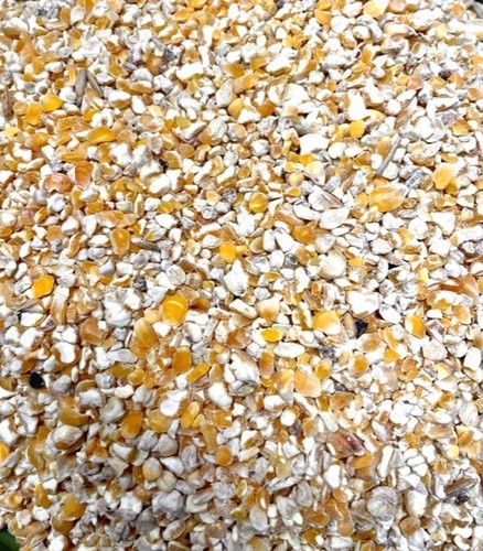 Kibbled Cut Split Maize Carp Fishing Poultry Chicken Corn Feed 1, 3 5 ...