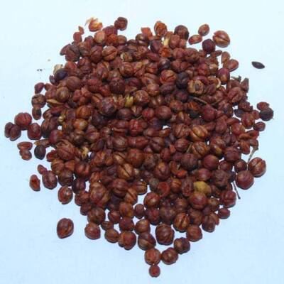 Malkangni / Jyotishmati /Celastrus Paniculatus Seed treatment of Sexual ...