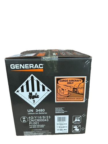 Generac GB1000 1600W Power Generator - 8025 for sale online | eBay