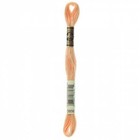 DMC Embroidery Floss Color Ultra Very Light Mahogany #3856 | eBay