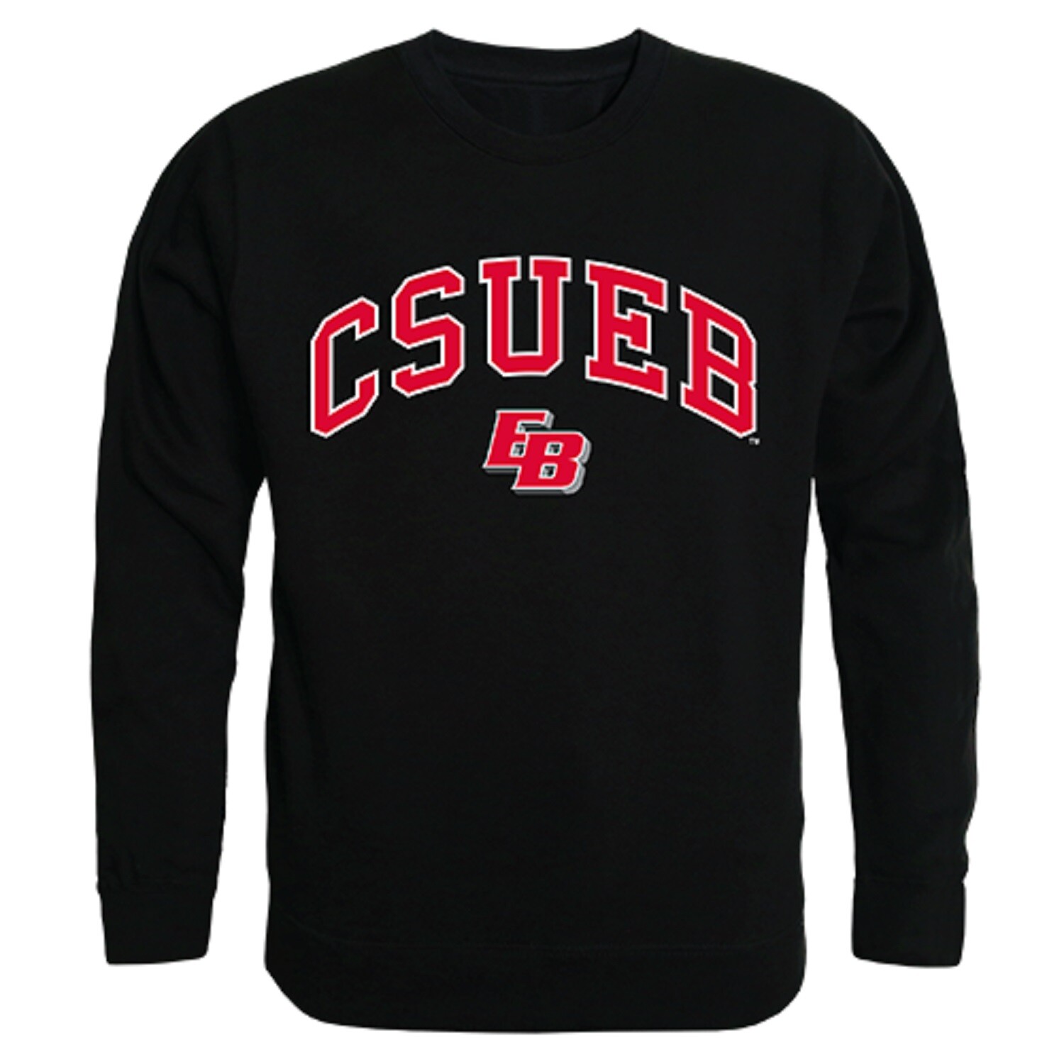 Cal State University East Bay Pioneers EB CSUEB NCAA Sweater-Officially ...