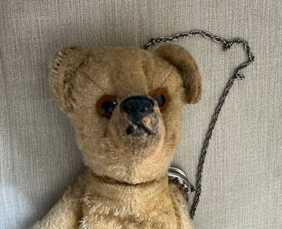 Extremely Rare Antique Novelty c1912 TEDDY PURSE BEAR | eBay UK