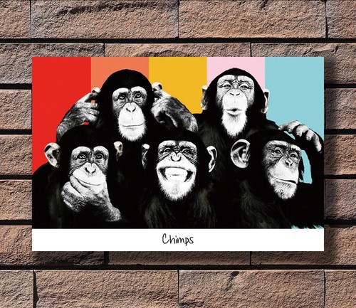 The Chimps Funny Monkey Face Print 20x30 24x36 40in Silk Poster KX857 ...