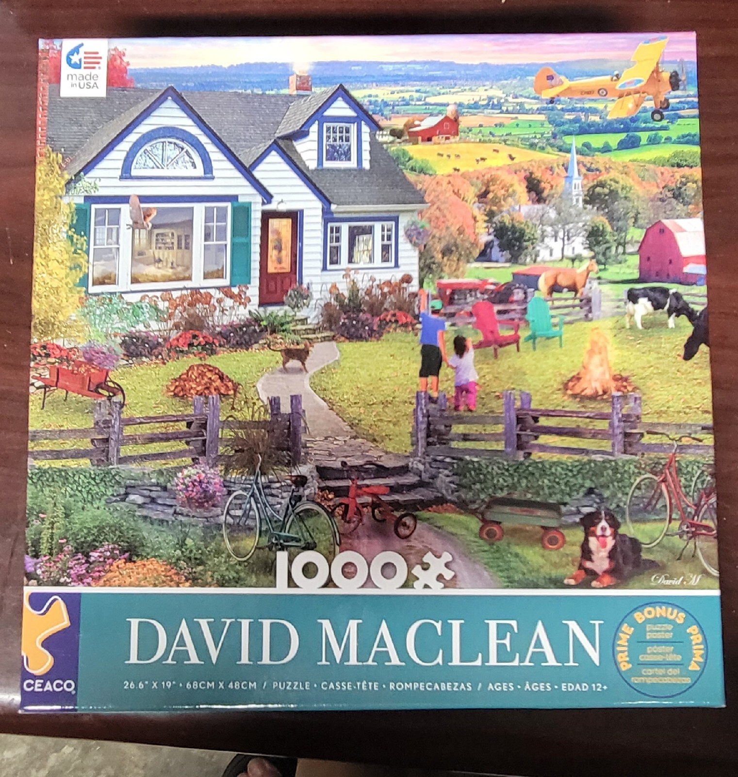 NEW Ceaco Puzzle; The Fly By; art by David Maclean; 1000 pcs; 3396-17 ...
