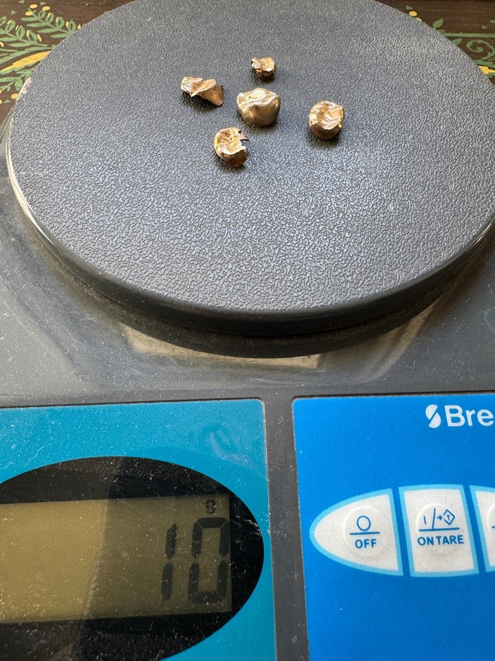 Gold dental scrap crowns 10 grams in total weight, 16K-18K | eBay