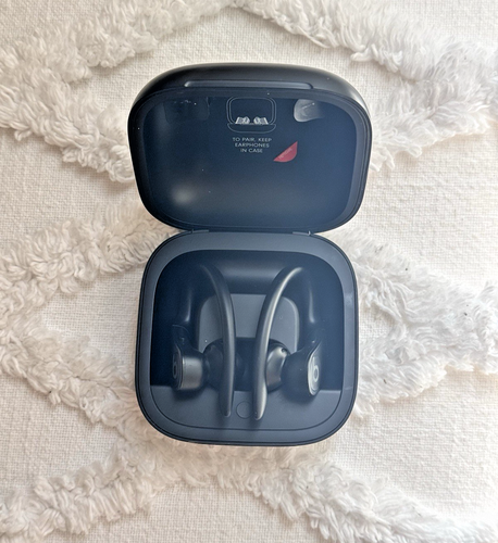 Beats Powerbeats Pro Black – Used, Box + Spare Ear Tips, Minor Case ...