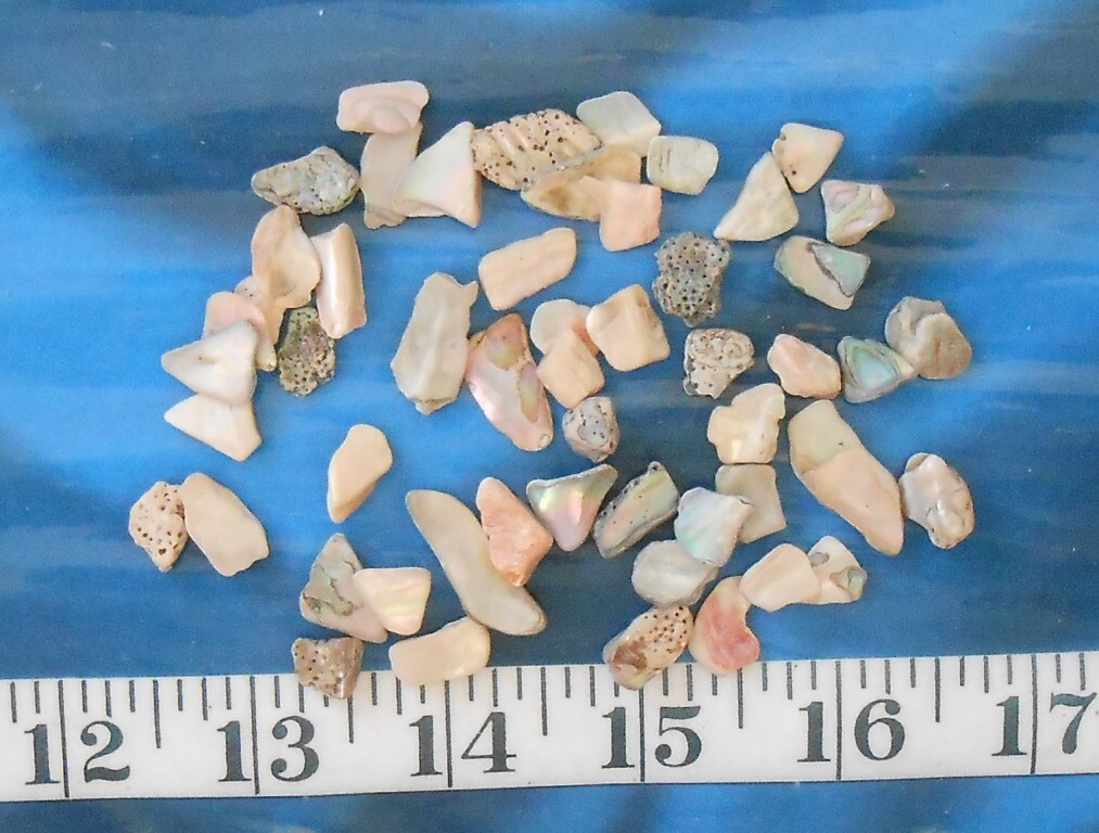 ~ Natural Abalone Shell Chips ~ 50 Light Mix ~ Shellcraft~ Sailor's ...