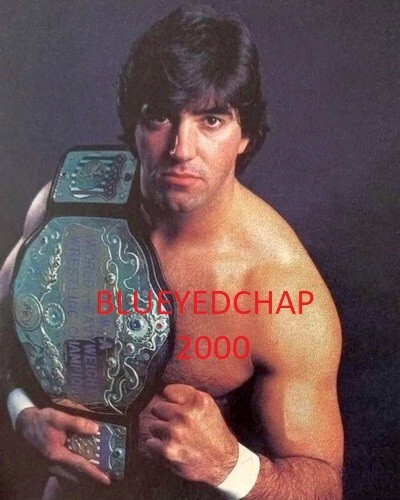 RICK MARTEL WRESTLER 8 X 10 WRESTLING PHOTO WWF AWA NWA | eBay