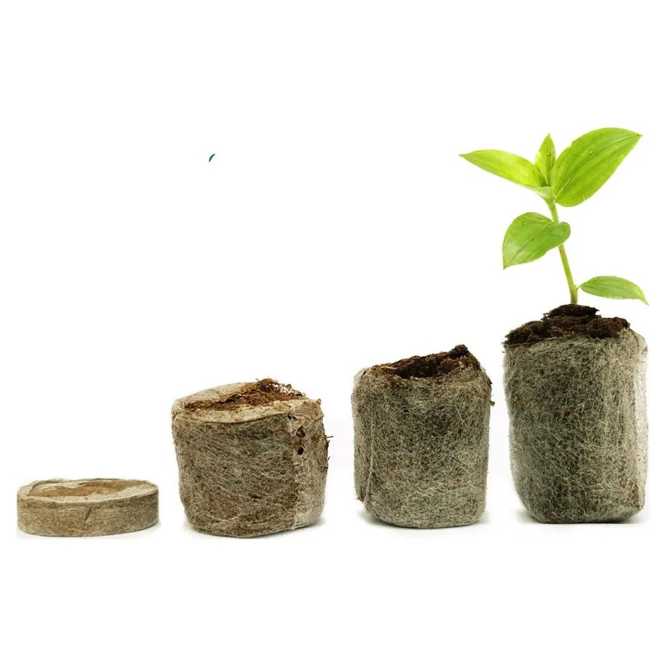 Jiffy Coco Pellets Peat Free Organic Seed Plug Propagation Compost 38 ...
