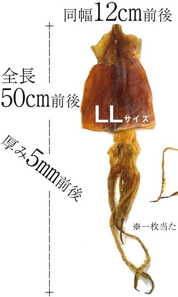 DRIED SQUID SURUME IKA Big Size 500-550g 10 pieces Made in Hokkaido ...