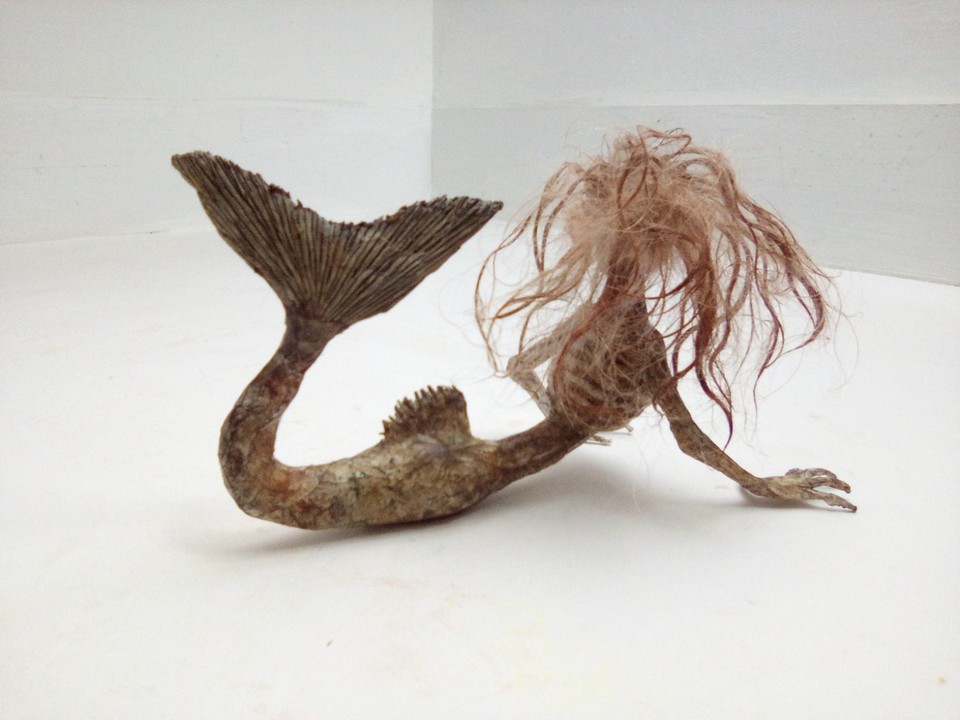 Feejee fiji Mermaid Sideshow gaff freak #141 | eBay