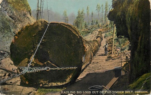 United States hauling big logs out of the timber belt Oregon wood ...