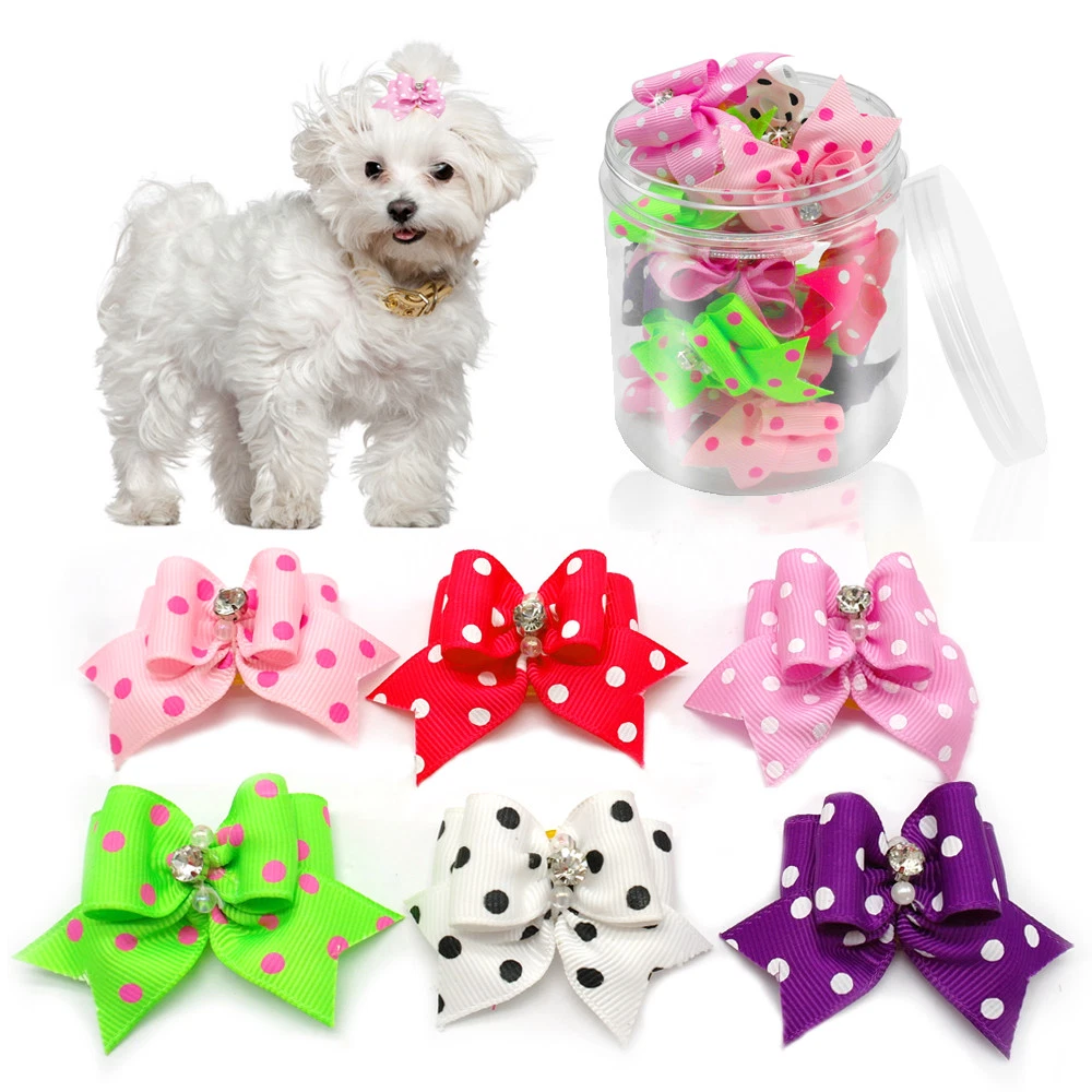 Bella And Bows Grooming | ppgbbe.intranet.biologia.ufrj.br