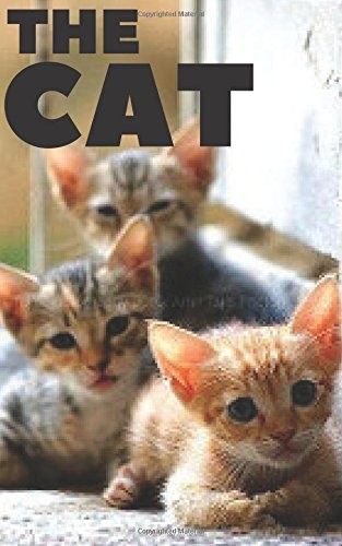 THE CAT: PASSWORD BOOK ,PASSWORD KEEPER, PASSWORD LOGBOOK, By Pussycat ...