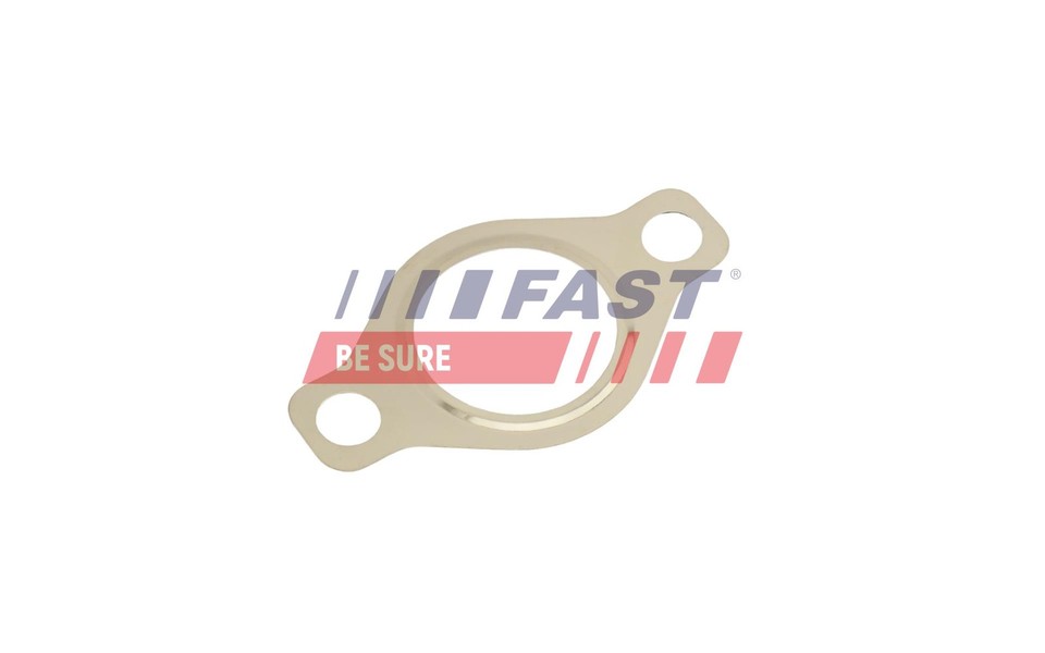 FAST FT50618 Gasket, EGR valve for CITROËN,FIAT,IVECO,PEUGEOT | eBay