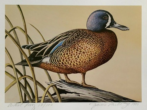 James E Partee. Jr. Artist Proof 12/100 Blue Wing Teal 1985 | eBay