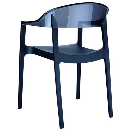 Compamia Carmen Patio Dining Chair with Black Seat in Black (Set of 2 ...