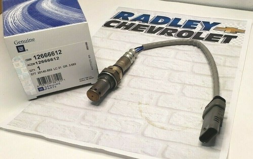 12666612 NEW GM OEM OXYGEN SENSOR CHEVROLET GMC CADILLAC B23 | eBay