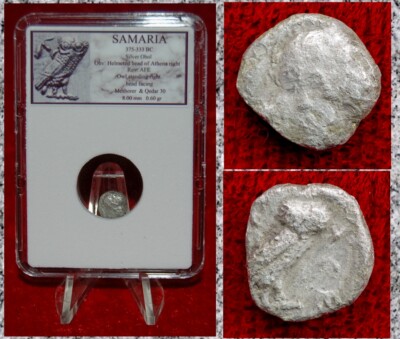 Ancient Coin SAMARIA Helmeted Athena and Owl Silver Obol Rare Type of ...