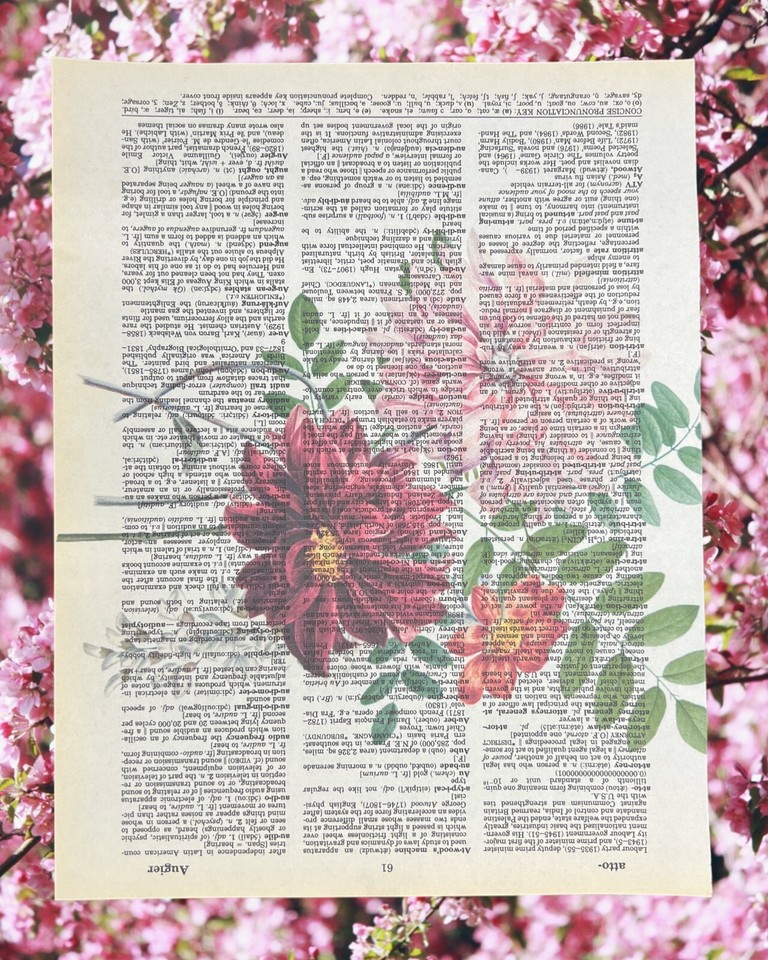 Botanical Flower Dictionary Prints Flower Themed Print Wall Art Hanmade Set of 6 | eBay