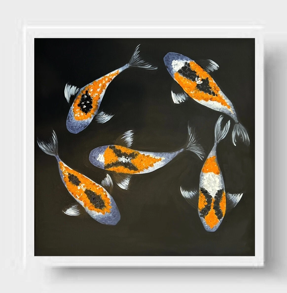 Japanese Koi Fish Photography
