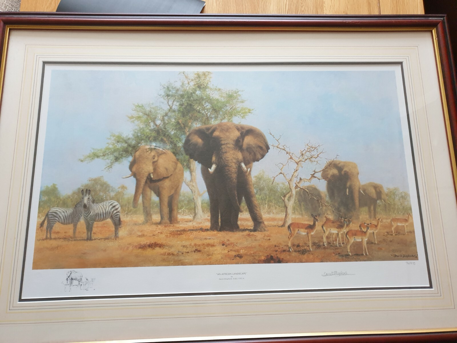 David Shepherd for sale in UK | 89 used David Shepherds