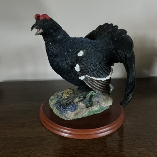 Border Fine Arts Game Birds Blackcock Capercaillie - Model Number A1278 ...