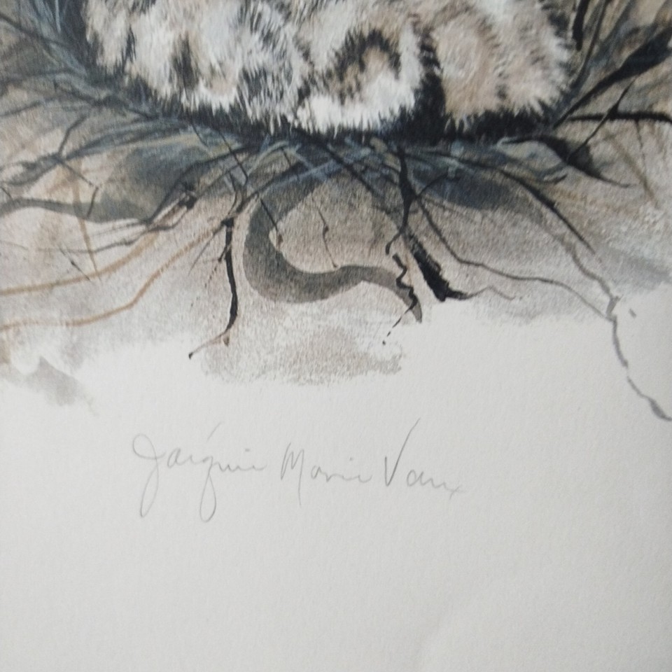 Baby tiger cub s/n signed print 22x26 TRINE UNIVERSITY STORM | eBay