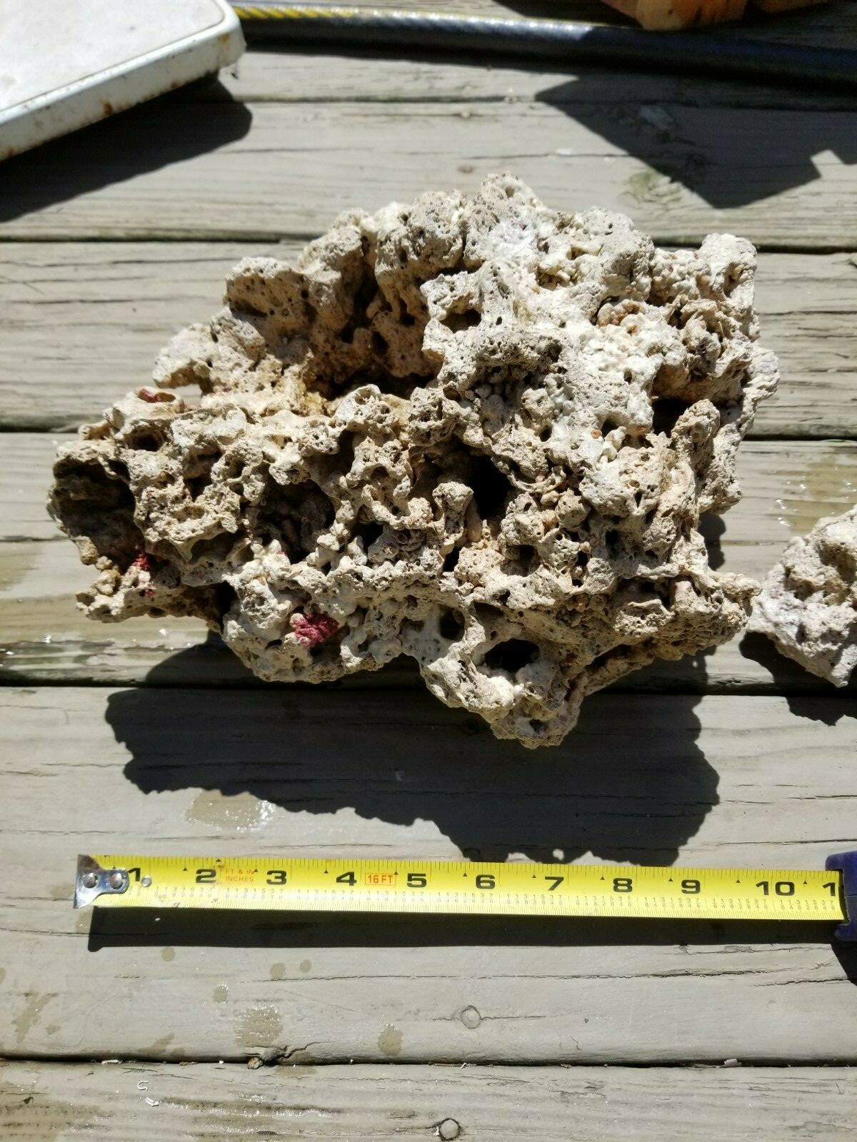 FIJI LIVE ROCK - 25 POUNDS | eBay